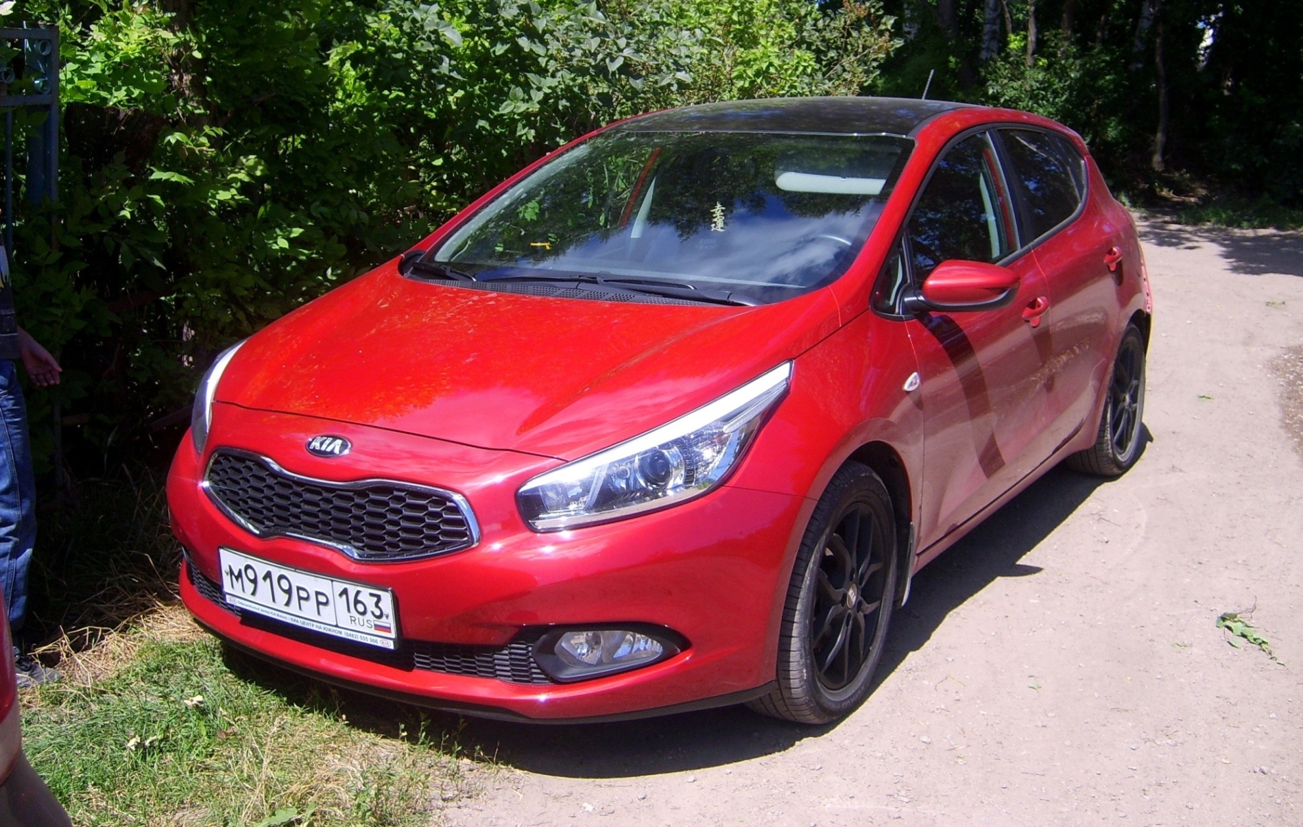 "м 919 рр 163" photos KIA Ceed. Russia